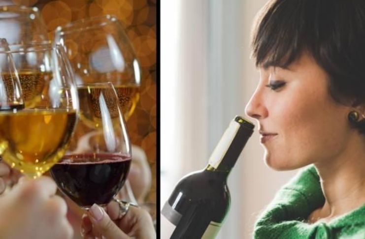 Companhia de vinho está procurando alguém para beber vinho e receber ...